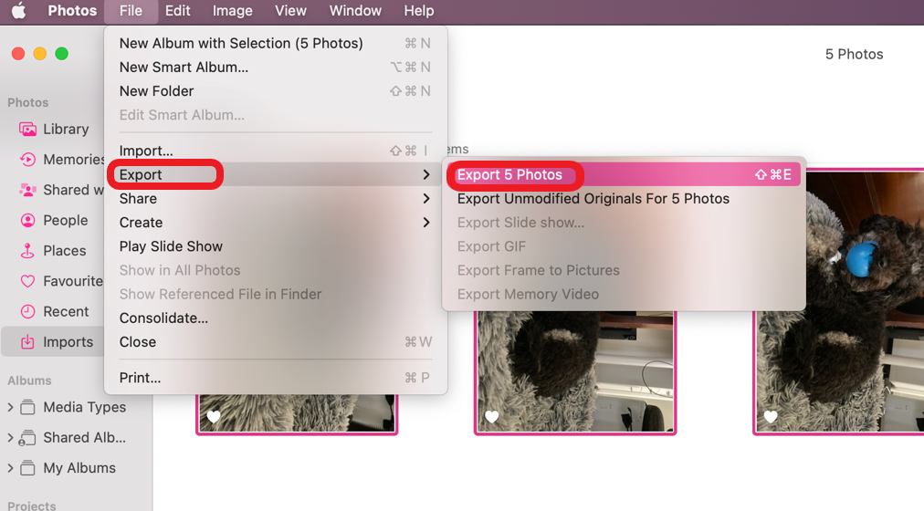 How to convert image files in HEIC format to JPEG format